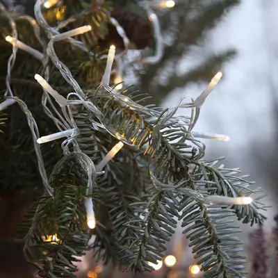 Preisvergleich für LED Lichterkette Serie Microled in Transparent 3,2W ...