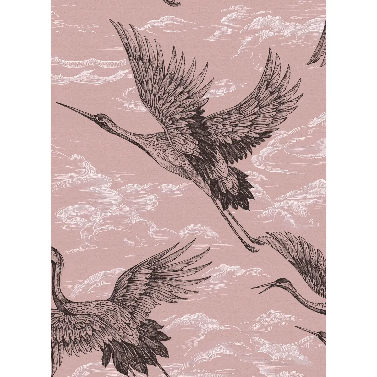Preisvergleich für Coordonne Tapete Imperial Ibis - Rose, in der Farbe ...